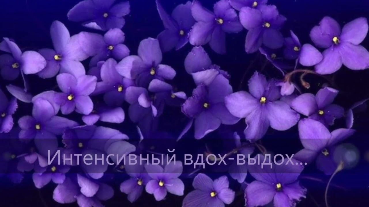 Медитация "АКТИВАЦИЯ ЧАКР НОВОГО ВРЕМЕНИ"