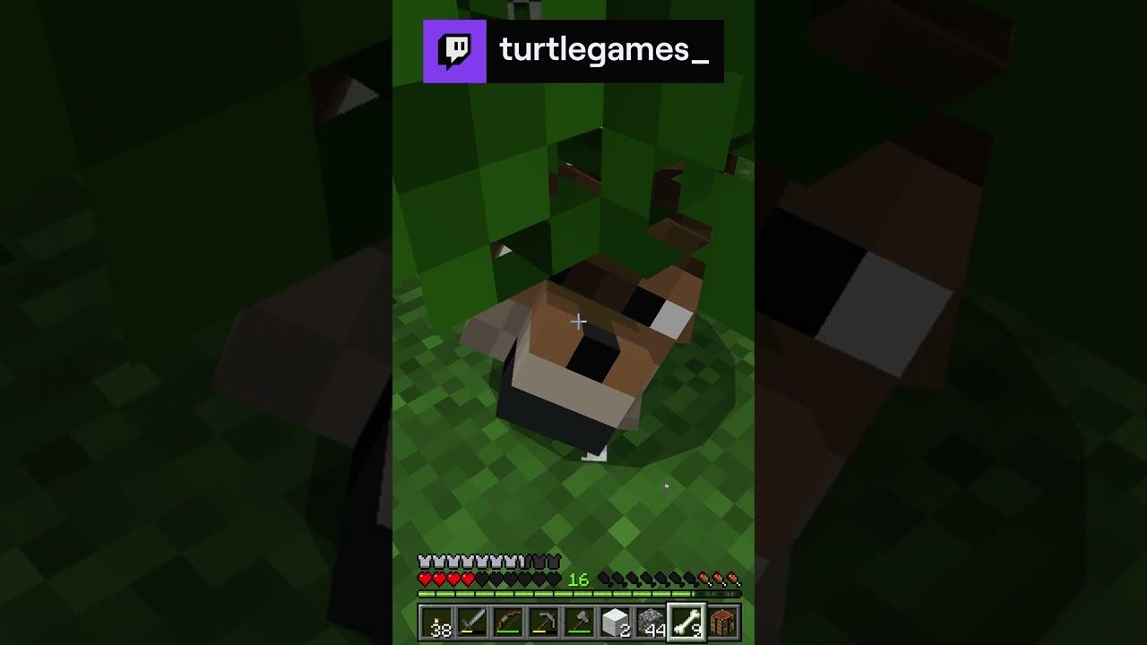 Собачий испуг! | #minecraft #shorts #Twitch