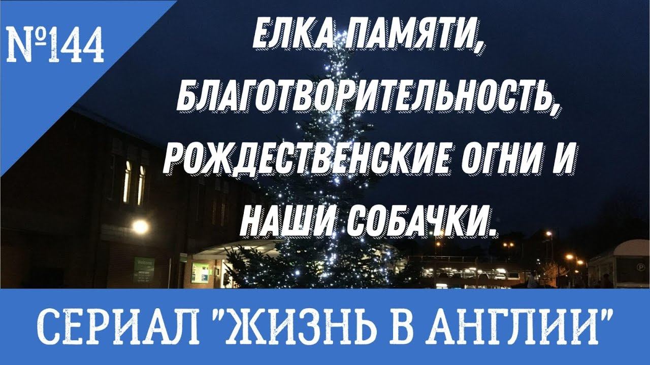 №144 Жизнь в Англии. Ёлка памяти,  рождественские огни и наши собаки.