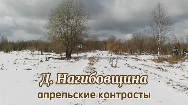 Деревня Нагибовщина, апрельские контрасты.mp4