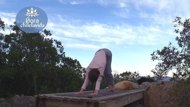 30. ПИЖАМНАЯ ЙОГА УТРОМ В КРОВАТИ. Йога 10 минут. Йога chilelavida