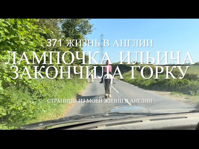 Лампочка Ильича Закончила горку у пруда 371 Жизнь в Англии