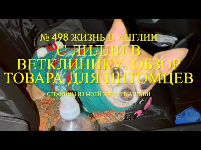 Обзор товара в магазине для питомцев. Лилли записали на операцию. № 498 Жизнь в Англии