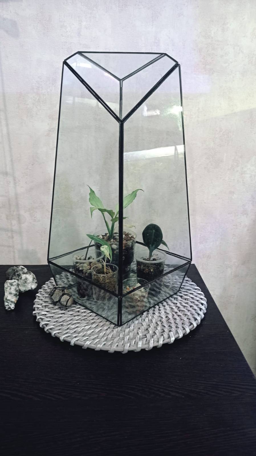 Флорариум-тепличка для комнатных растений