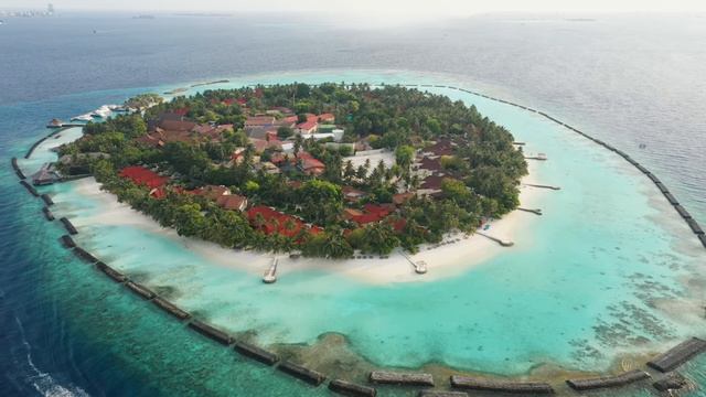 Askprojekt - A Day in Paradise