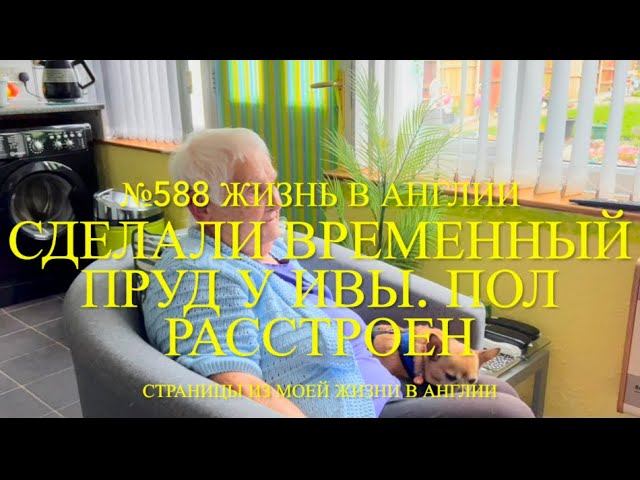Переезд. Сделали временный пруд у Ивы. Пол расстроился. №588 Жизнь в Англии