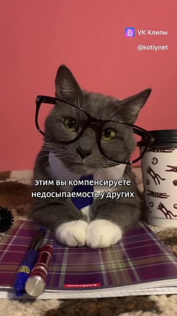 Идеальная работа