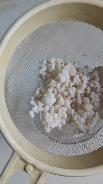 Кефирный грибок ожил - снова стал белым