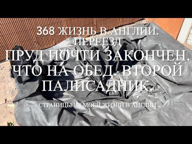 Переезд Пруд почти закончен Что  на обед  Начали второй палисадник 368 Жизнь в Англии