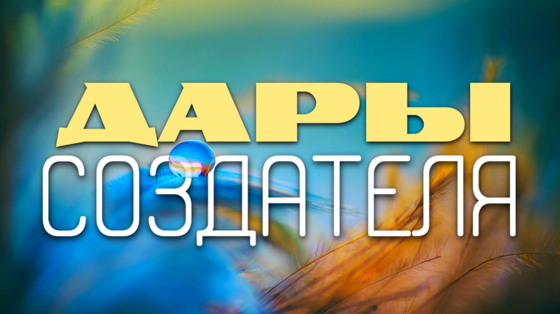 ДАРЫ СОЗДАТЕЛЯ