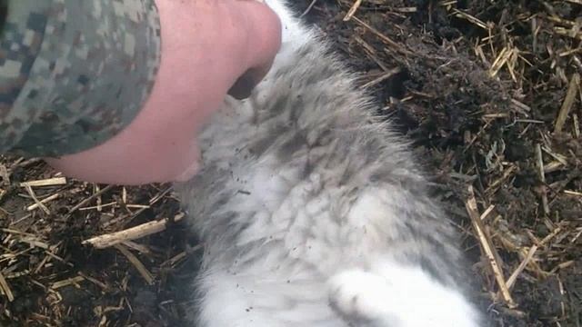 Мы собираемся на рыбалку а помощник мне помогает.....