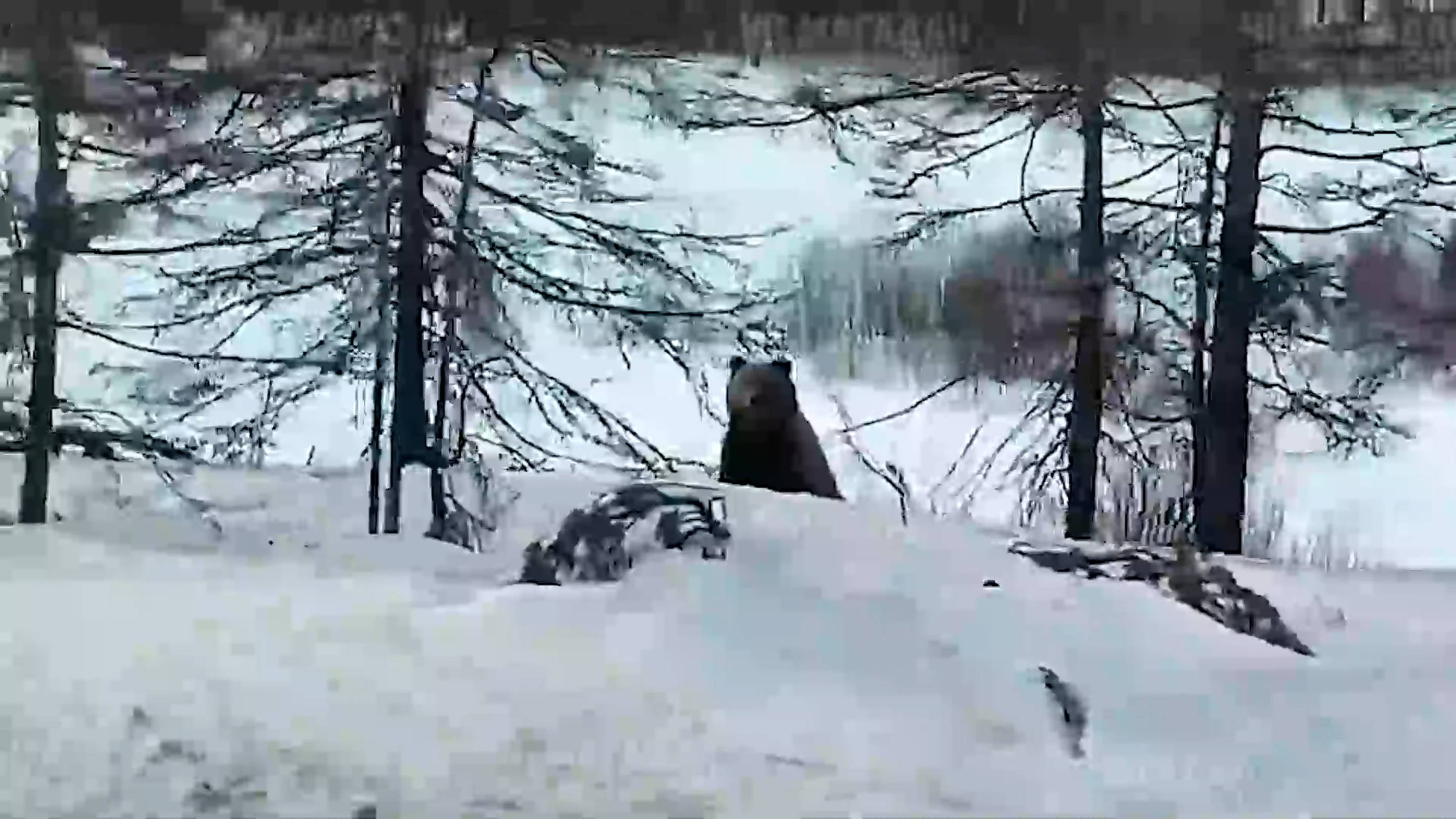 Народный патруль 15.04.2025