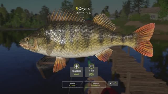 Русская Рыбалка 4 (4 Трофея) оз. Комариное