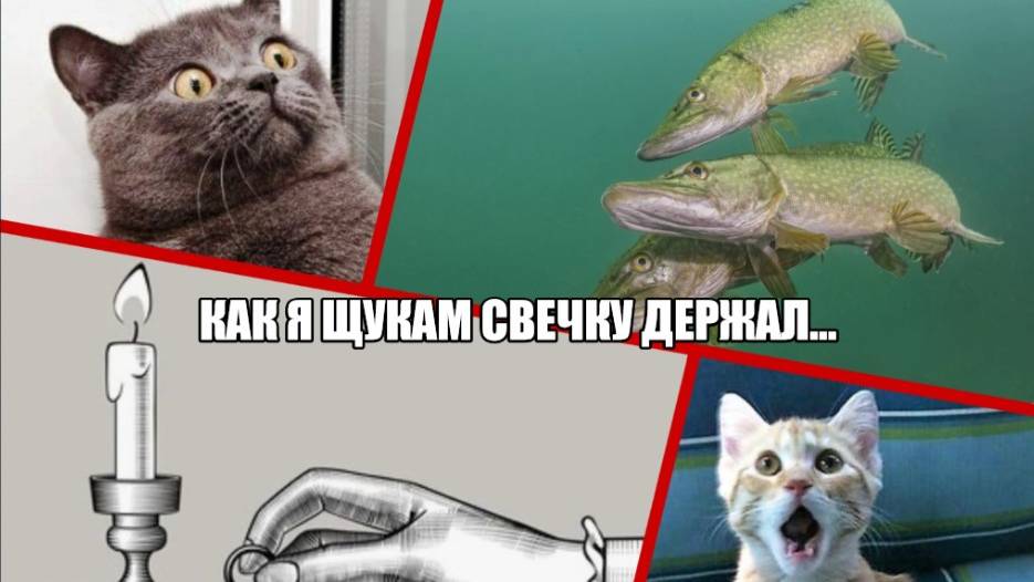 Как я щукам свечку держал...