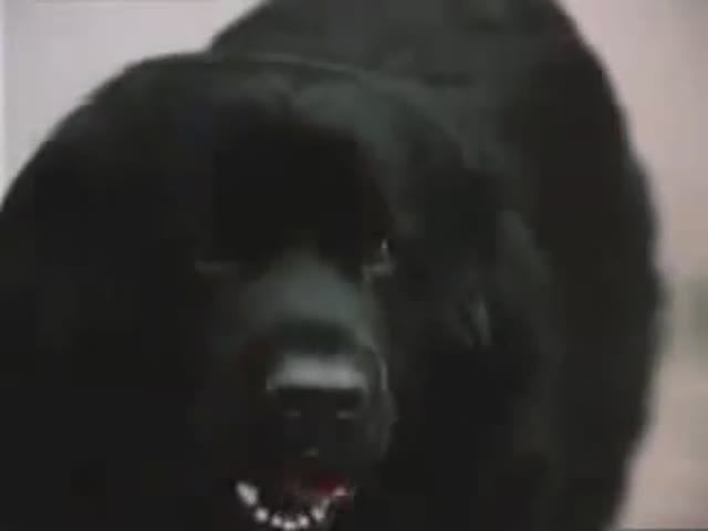 Моя песня к фильму "Друг" .