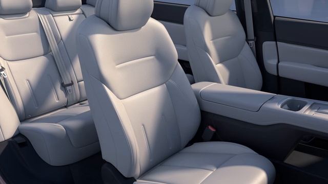 Xpeng G6 массаж вентиляция подогрев