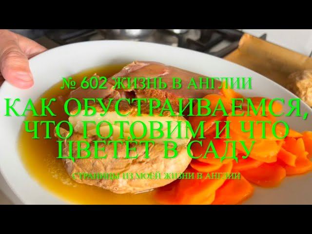 Переезд. Как обустраиваемся, что готовим и что цветёт в саду. № 602 Жизнь в Англии