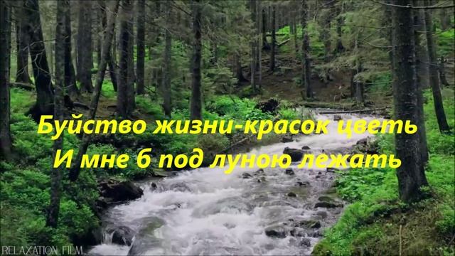 Буйство жизни