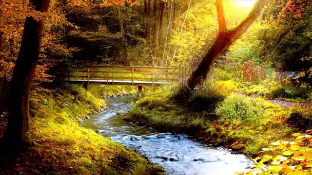 Медитация для сна