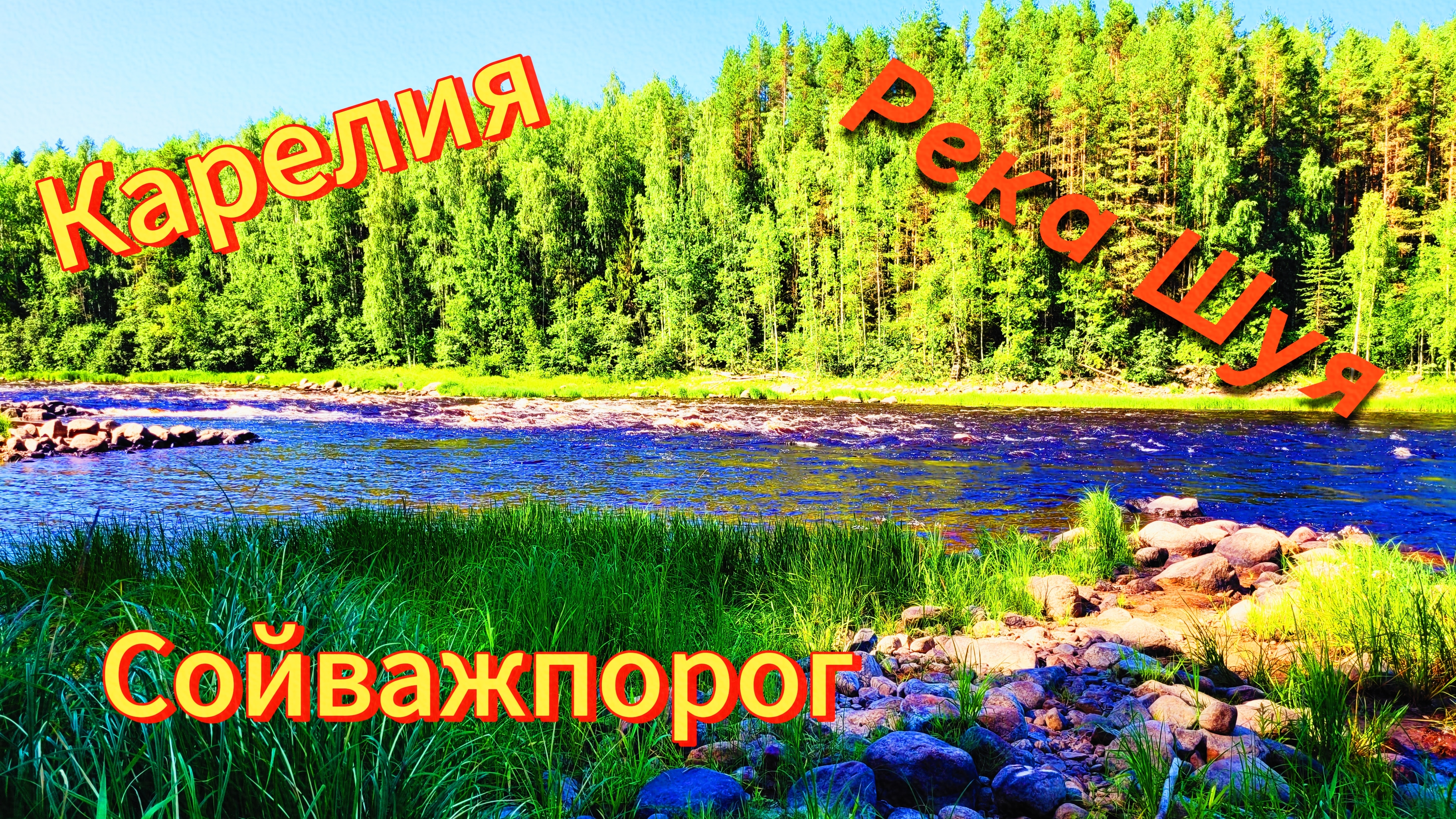 Карелия 2024. Петрозаводск. Река Шуя - Сойважпорог. Родник - деревня Половина. Июль 2024г