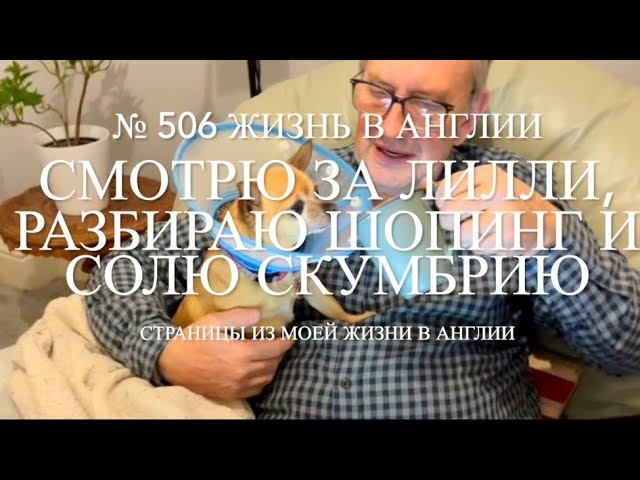 Присматриваю за Лилли, разбираю сумки с шопингом, солю скумбрию. № 506 Жизнь в Англии