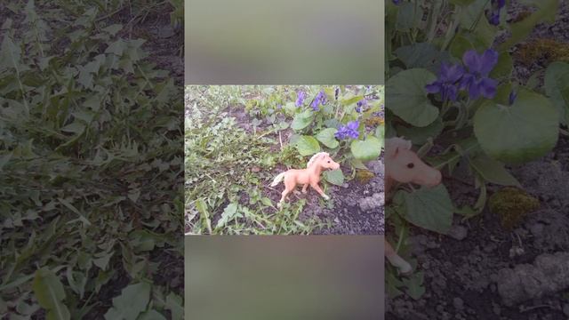 обзор на мою коллекцию лошадей