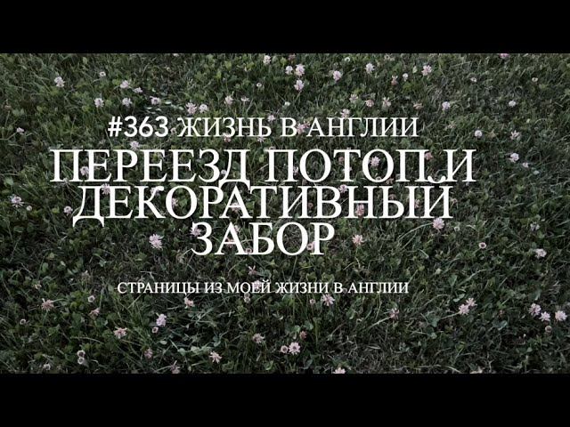 Переезд Потоп и Декоративный забор. #363 Жизнь в Англии