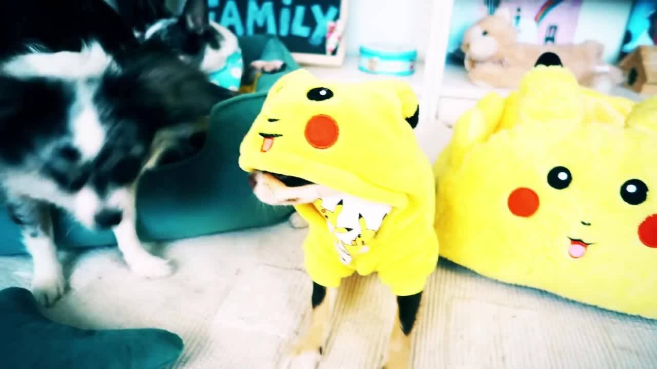 СЕМЕЙНОЕ ШОУ: РОДИТЕЛИ ОЦЕНИВАЮТ ТАНЦЫ И ПЕСНИ🎤🕺🎁