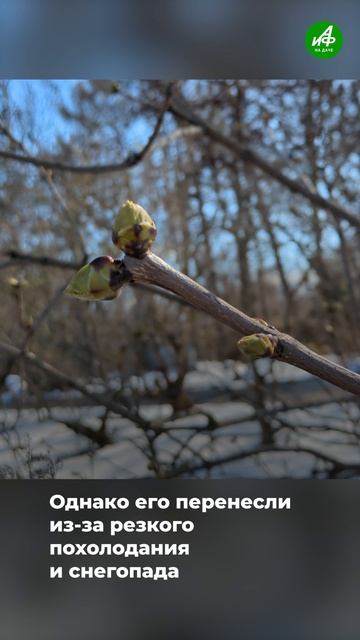 Весна идёт! Ботанический сад МГУ готовится к открытию после зимы