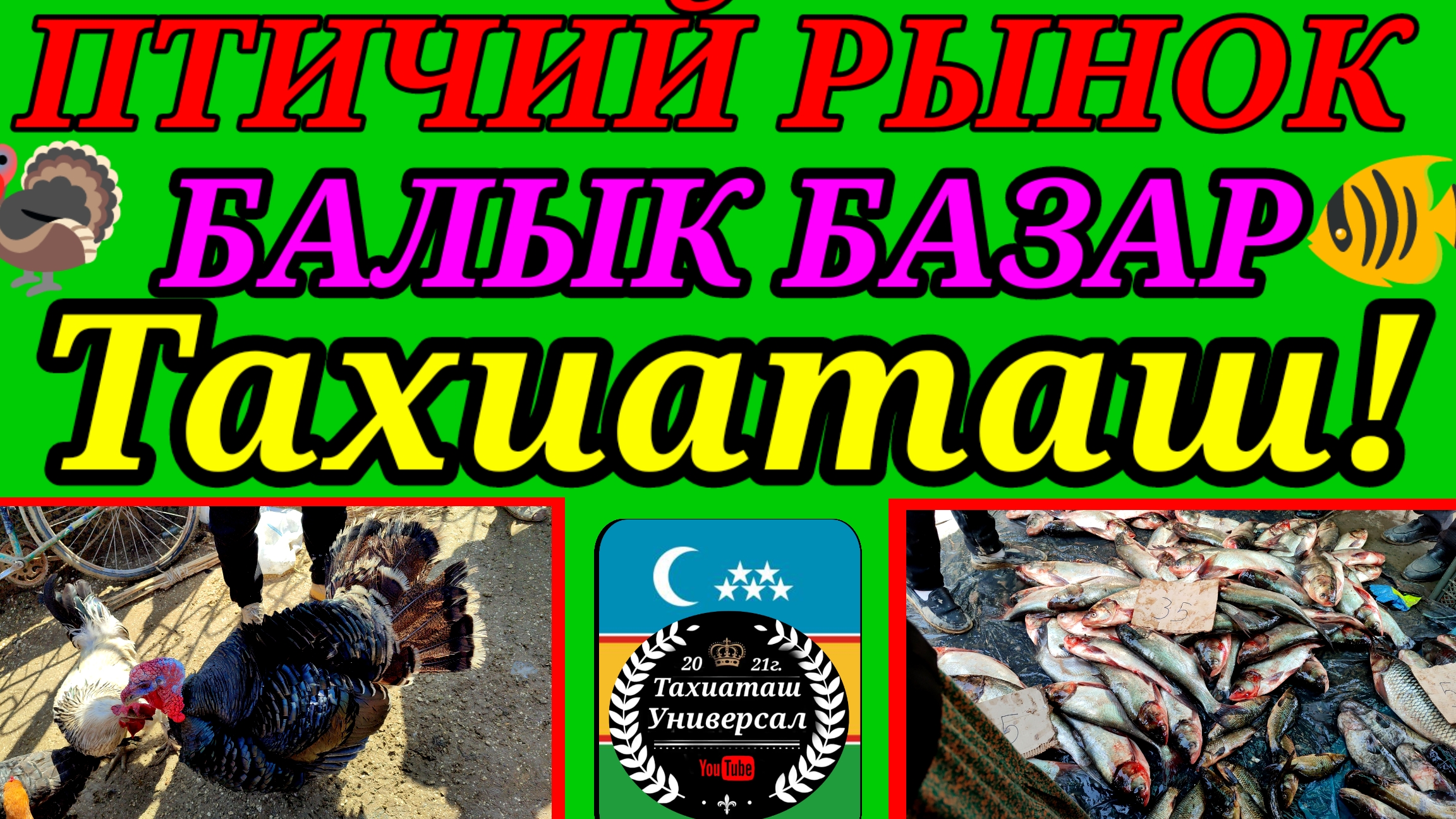 15-04-2025 ПТИЧИЙ РЫНОК 🐓 ТАУЫК БАЗАР