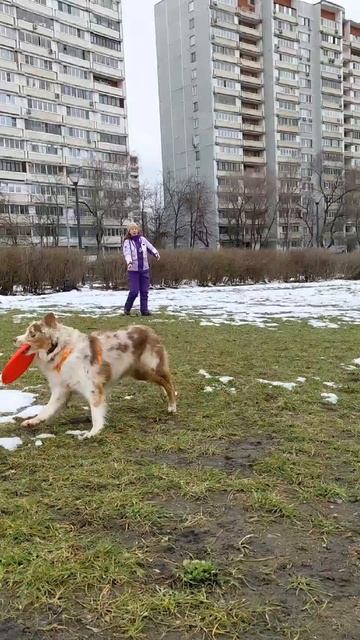 АО Руби - ловля роллов