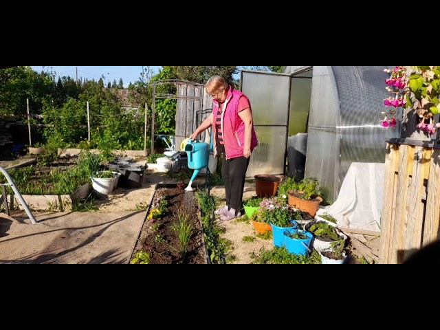 5июня 2022год. Моя любимая дача.