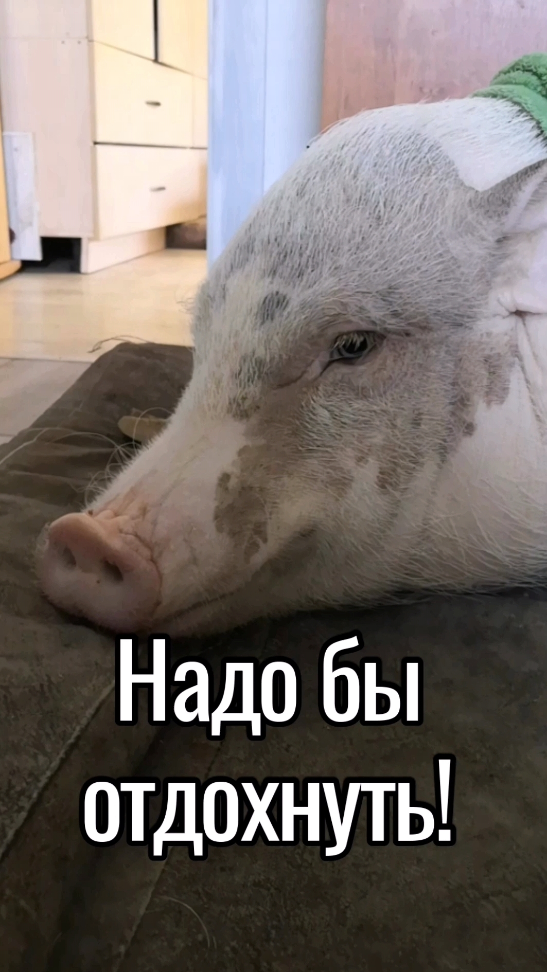 После сытного завтрака следует поспать!