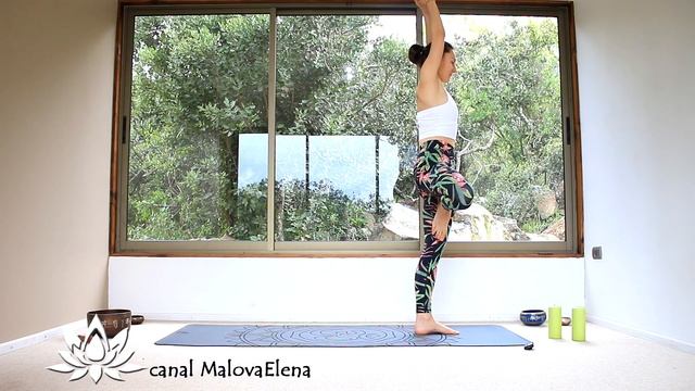 72. Йога виньяса средний уровень 25 мин _ Йога chilelavida