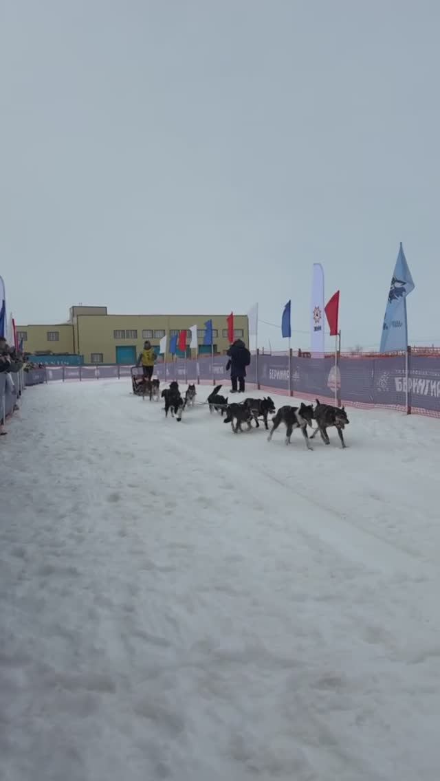 Берингия – 2025