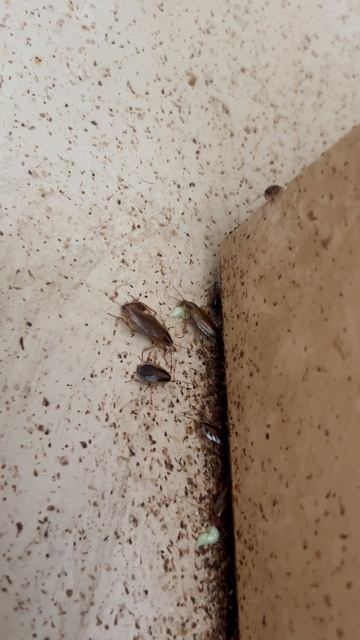 Что-то интересное нашли 🤔