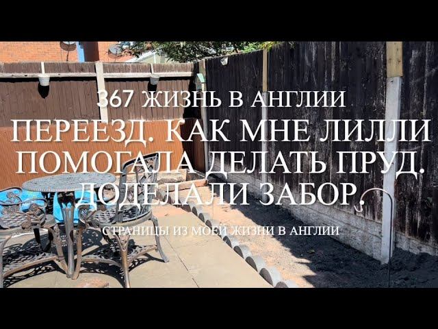 Переезд. Как Лилли помогала мне делать пруд. Доделали забор. 367 Жизнь в Англии