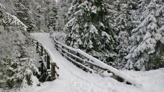 Сказочница зима.