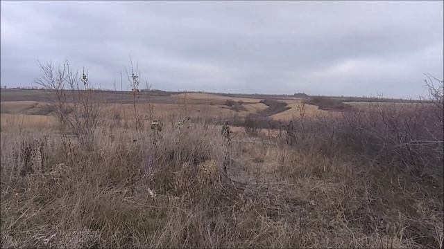 16.11.24. ДОНЦЫ - 2024