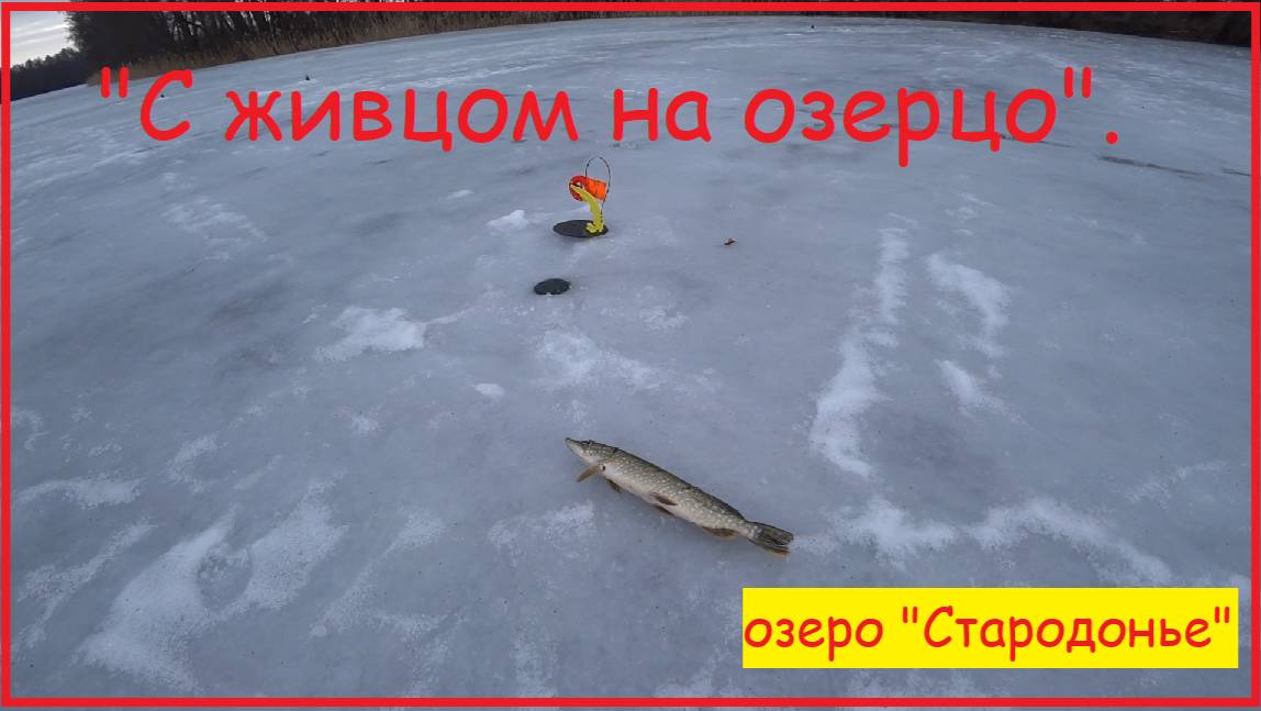 "С Живцом на озерцо", озеро "Стародоье".