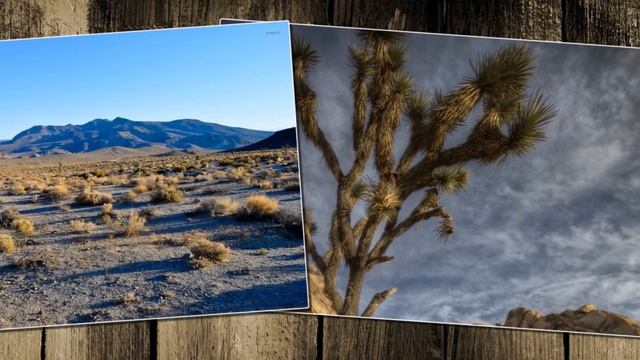 Memories (A Tribute To Dream Dance)  16