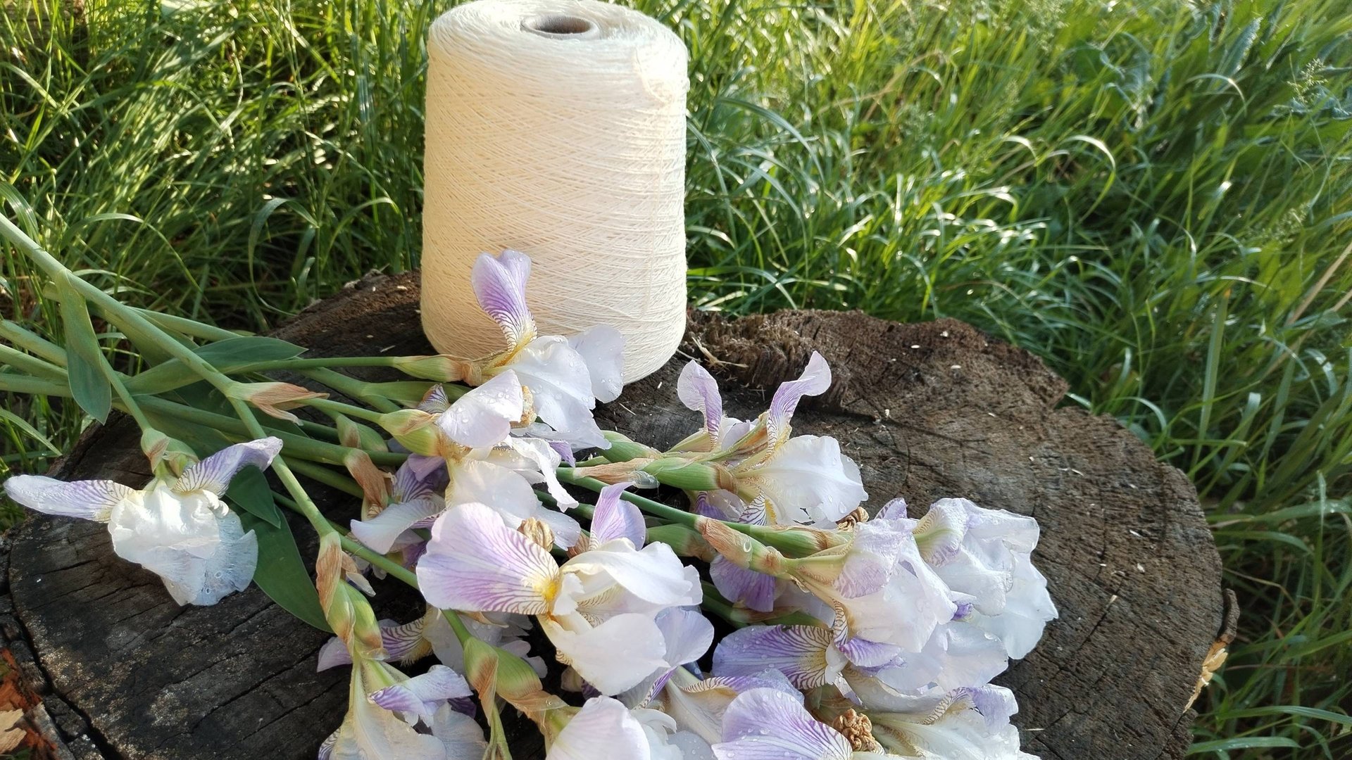 Вязовлог: новый твид и пушистики