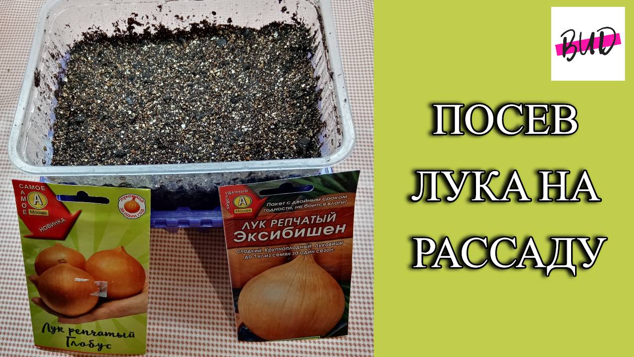 ПОСЕВ ЛУКА НА РАССАДУ 2024.