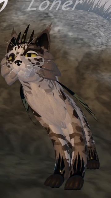 Двигаться, двигаться) ❤️