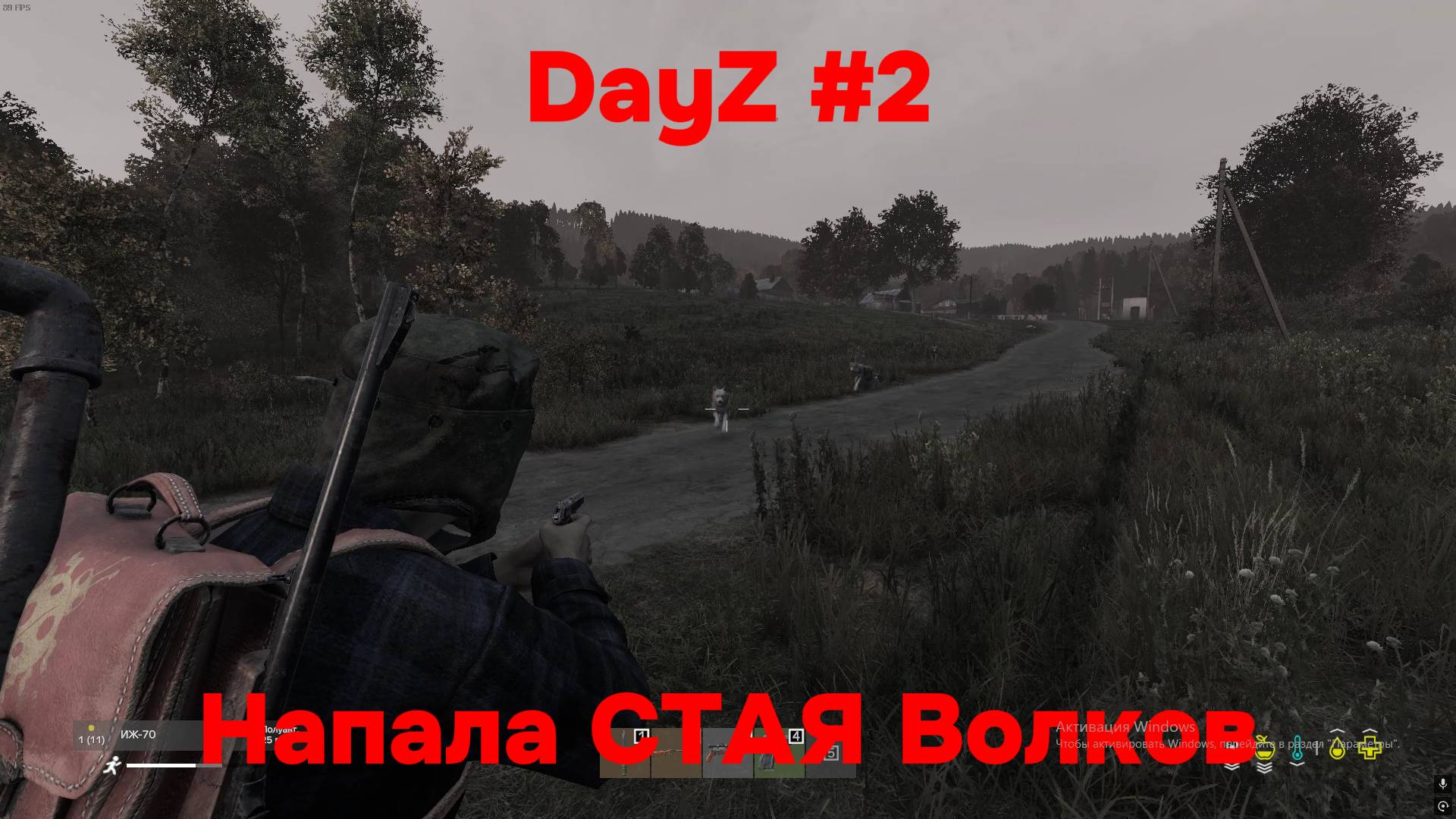 DayZ #2 - Напала стая ВОЛКОВ - Конец Пете?