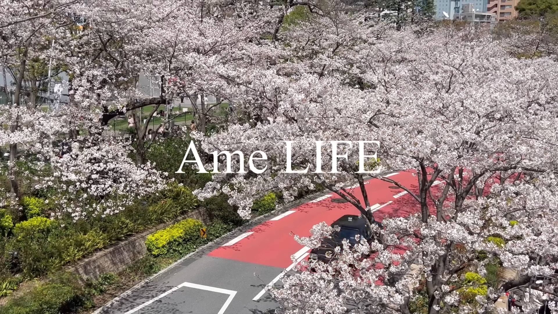 Ame LIFE vlog｜Весеннее обновление и новая мебель🪑🌸｜День с вязанием и атмосферой начала нового сезо