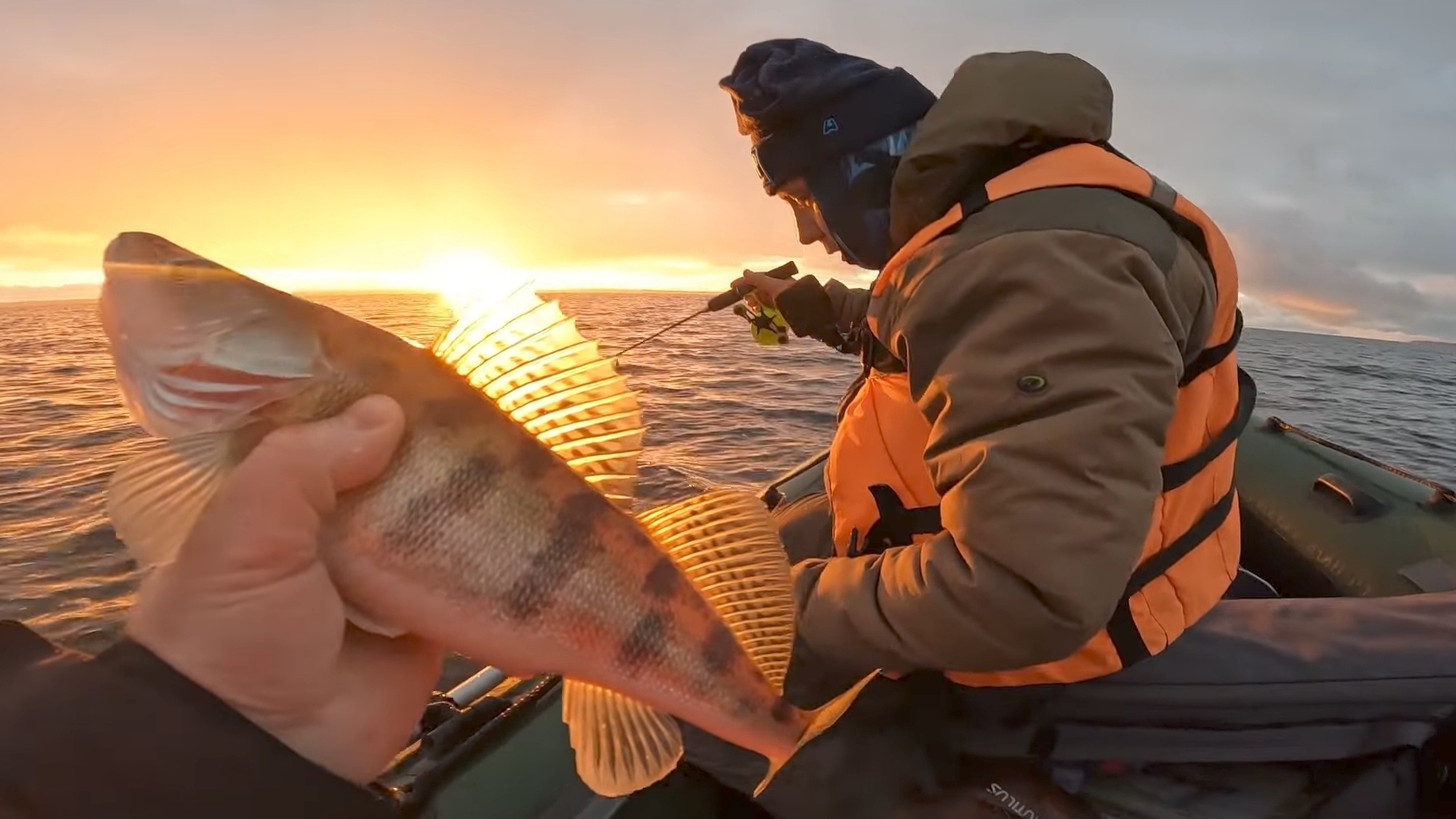 Рыбалка в отвес . Жор берша на Волге
