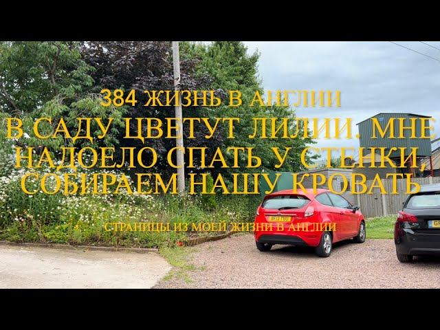 Переезд В нашем саду цветут лилии Надоело спать у стенки собираем нашу кровать 384 Жизнь в Англии