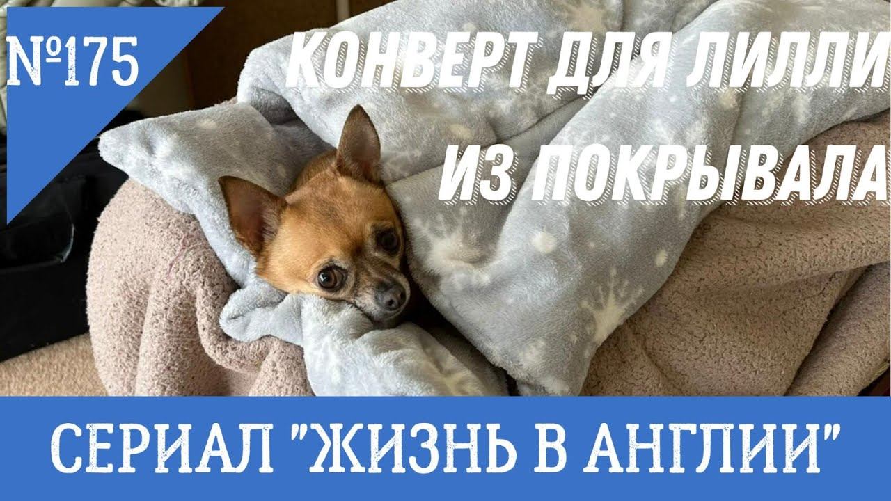 Вторая жизнь ненужным вещам. Конверт для Лилли из покрывала и синтепона ненужного одеяла  №175