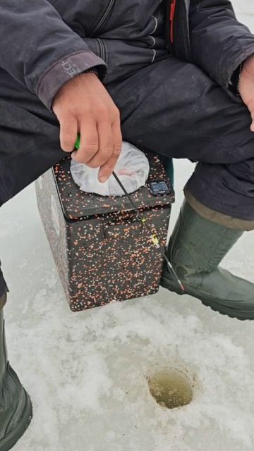 Проводки для ловли на безмотылку